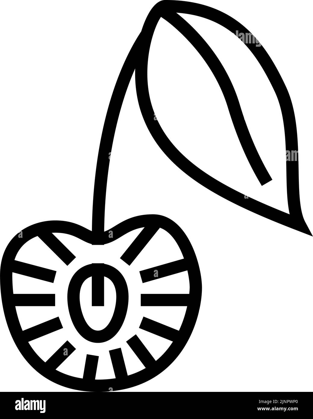 cut cherry line icon vector illustration Stock Vector Image & Art - Alamy