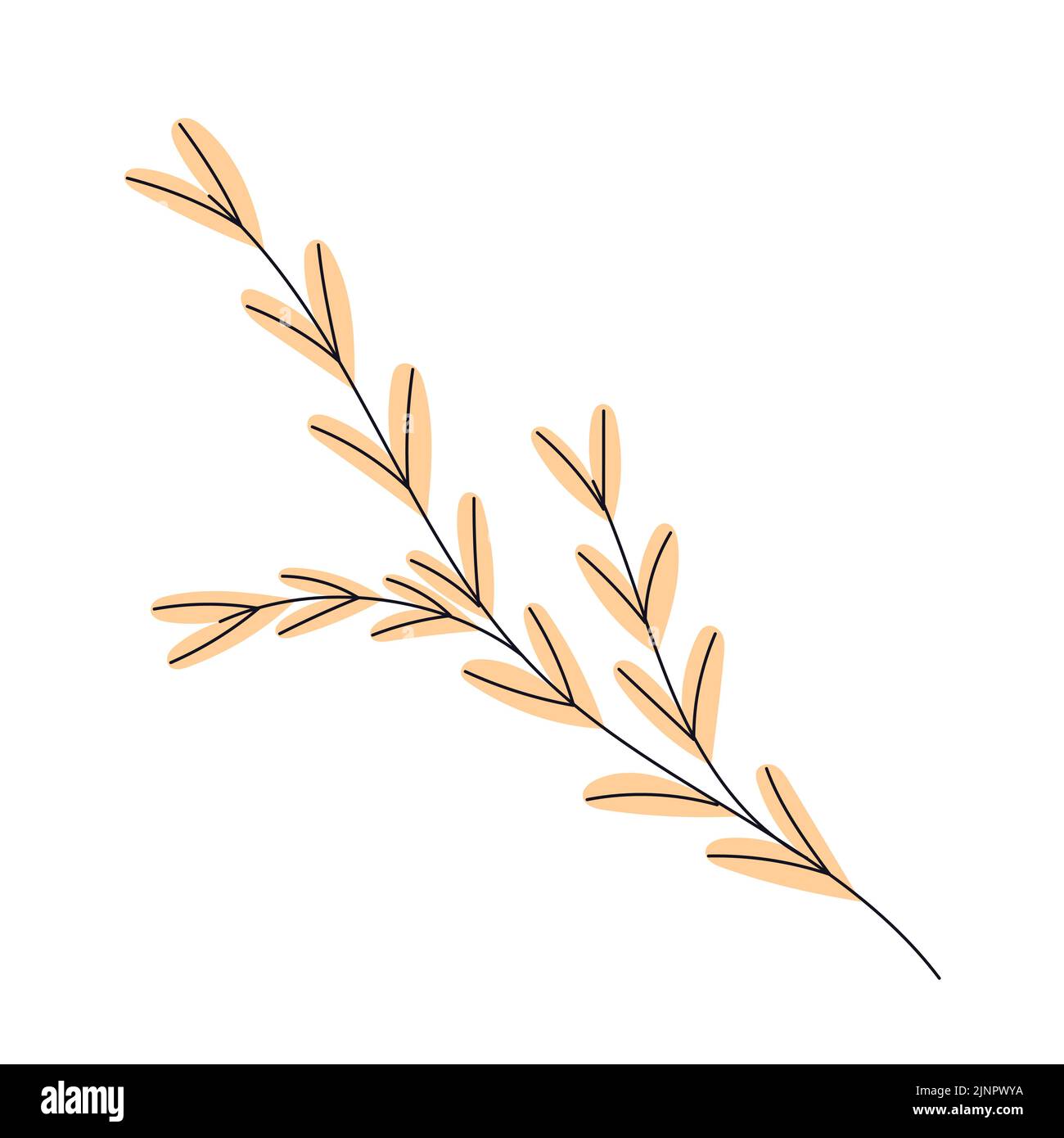 Sprig dried leaves Stock Vector Images - Alamy
