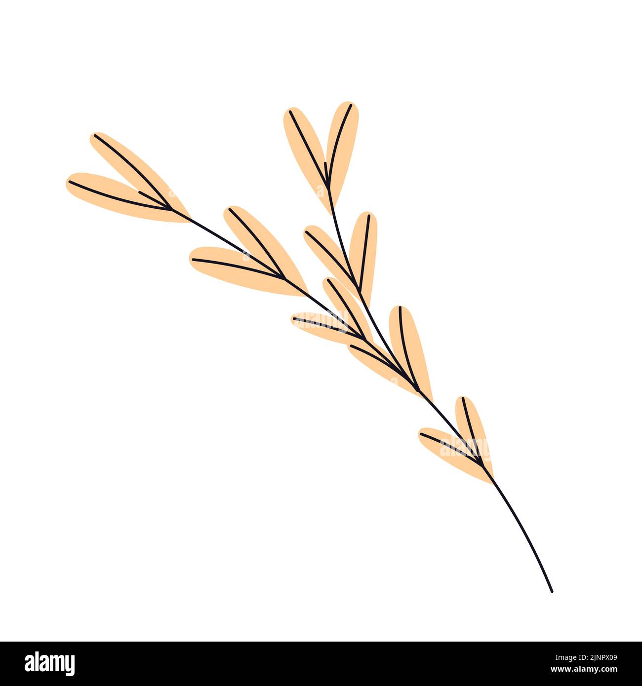 Sprig dried leaves Stock Vector Images - Alamy