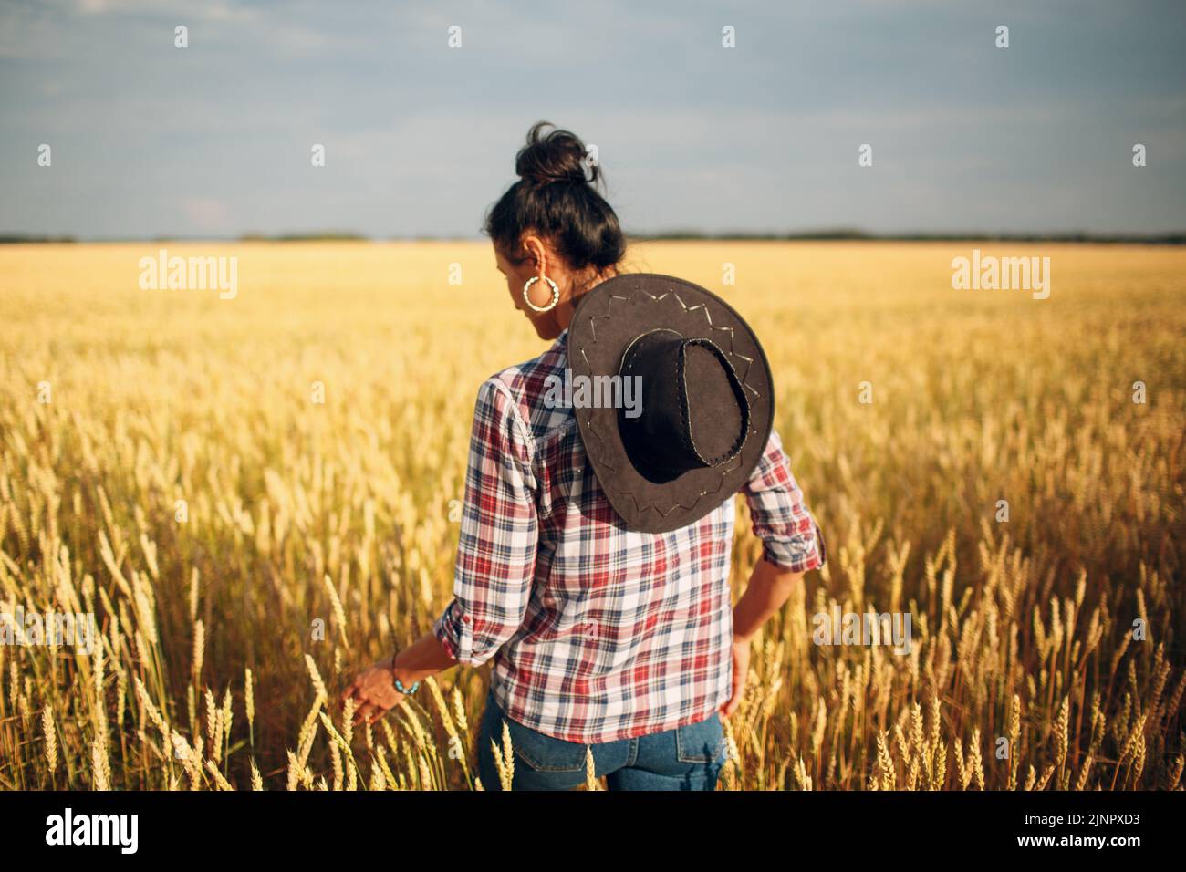Woman american farmer wearing cowboy hat, plaid shirt and jeans at ...