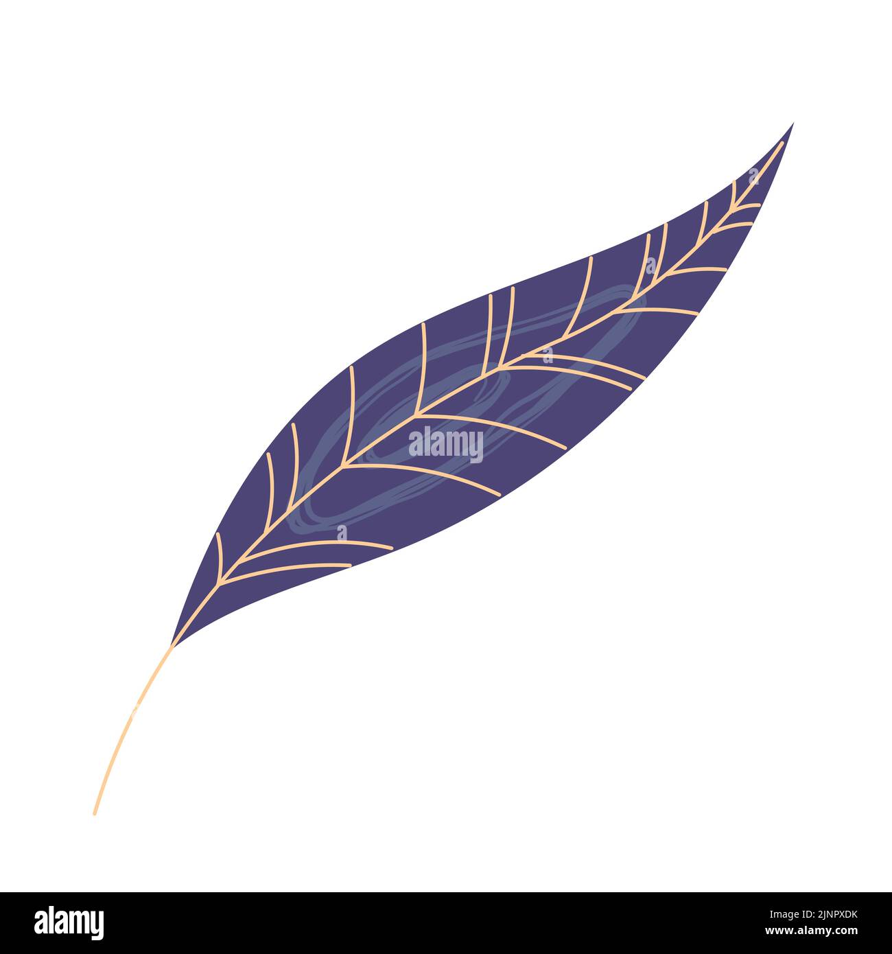 Autumn leaf on white background Stock Vector Image & Art - Alamy