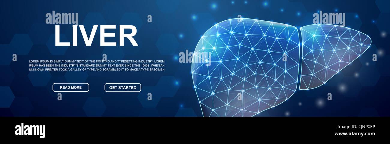 Liver polygonal horizontal banner. Hepatitis low poly symbol for head ...