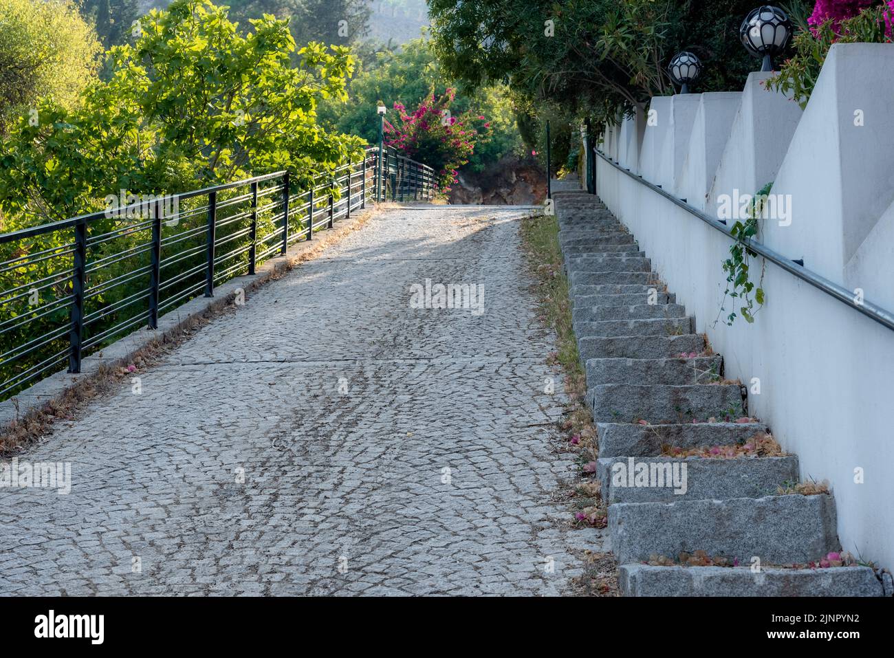 Old paved road and pedestrian stairs surrounded by greenery. Road, way ...