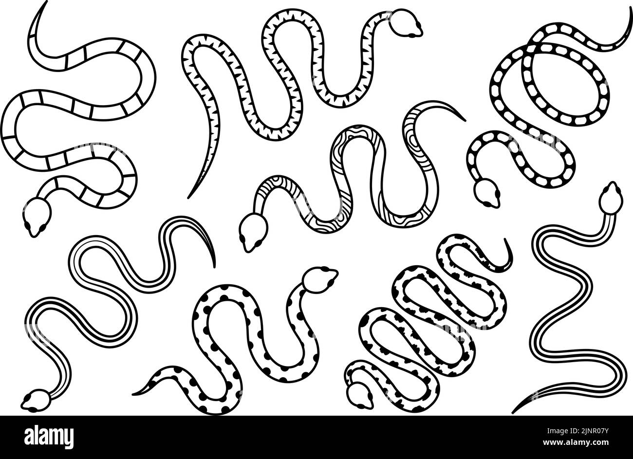 Black snakes silhouettes. Tropical toxic reptiles illustration. Dark ...