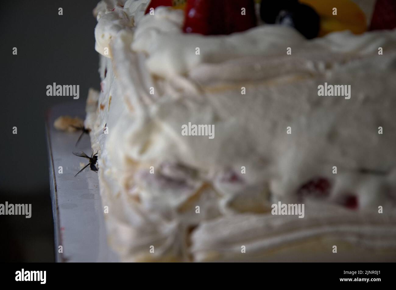 Wasp in cake Stock Photo - Alamy