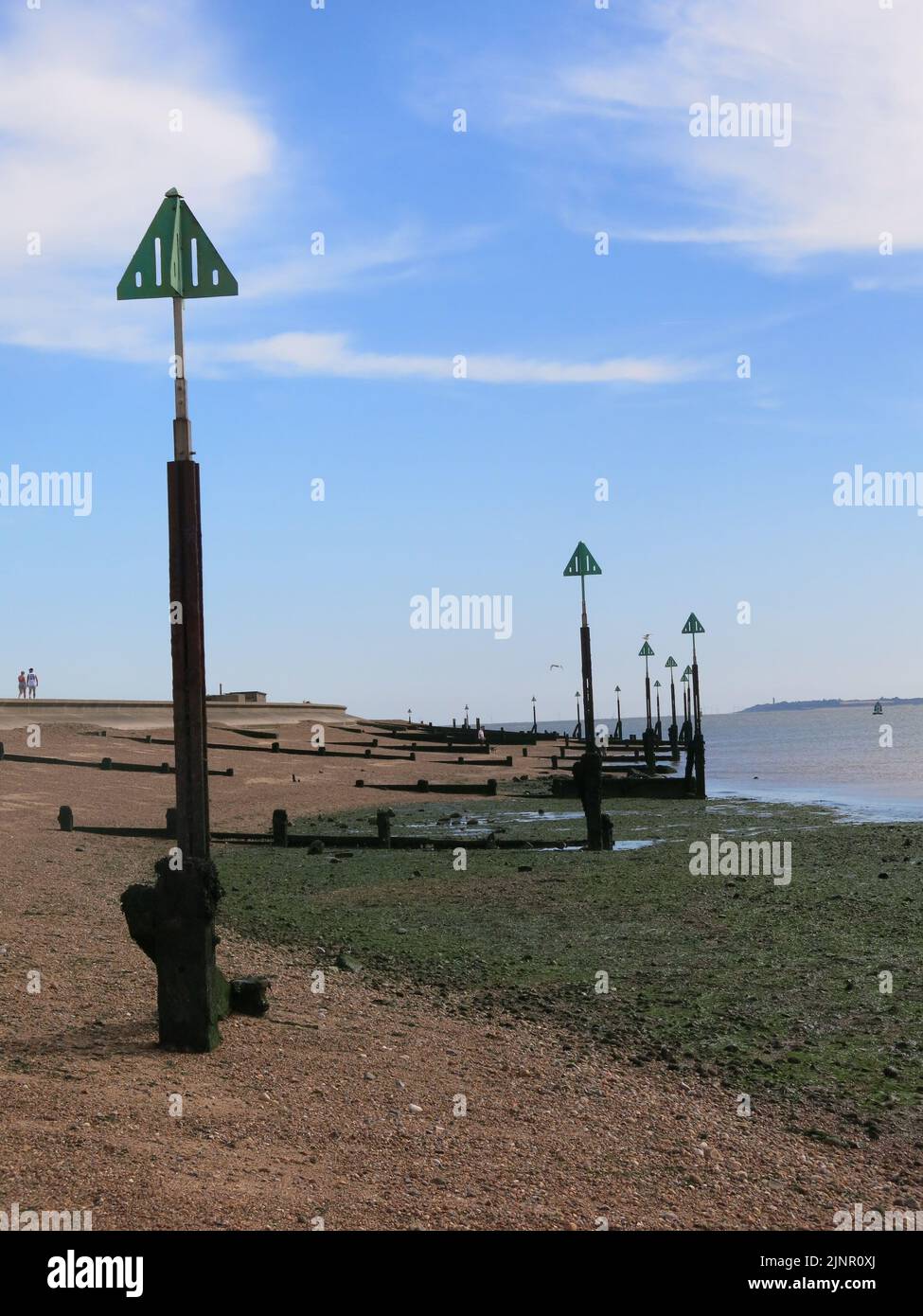 View of the coastline at Landguard Point in Suffolk, where groynes are ...