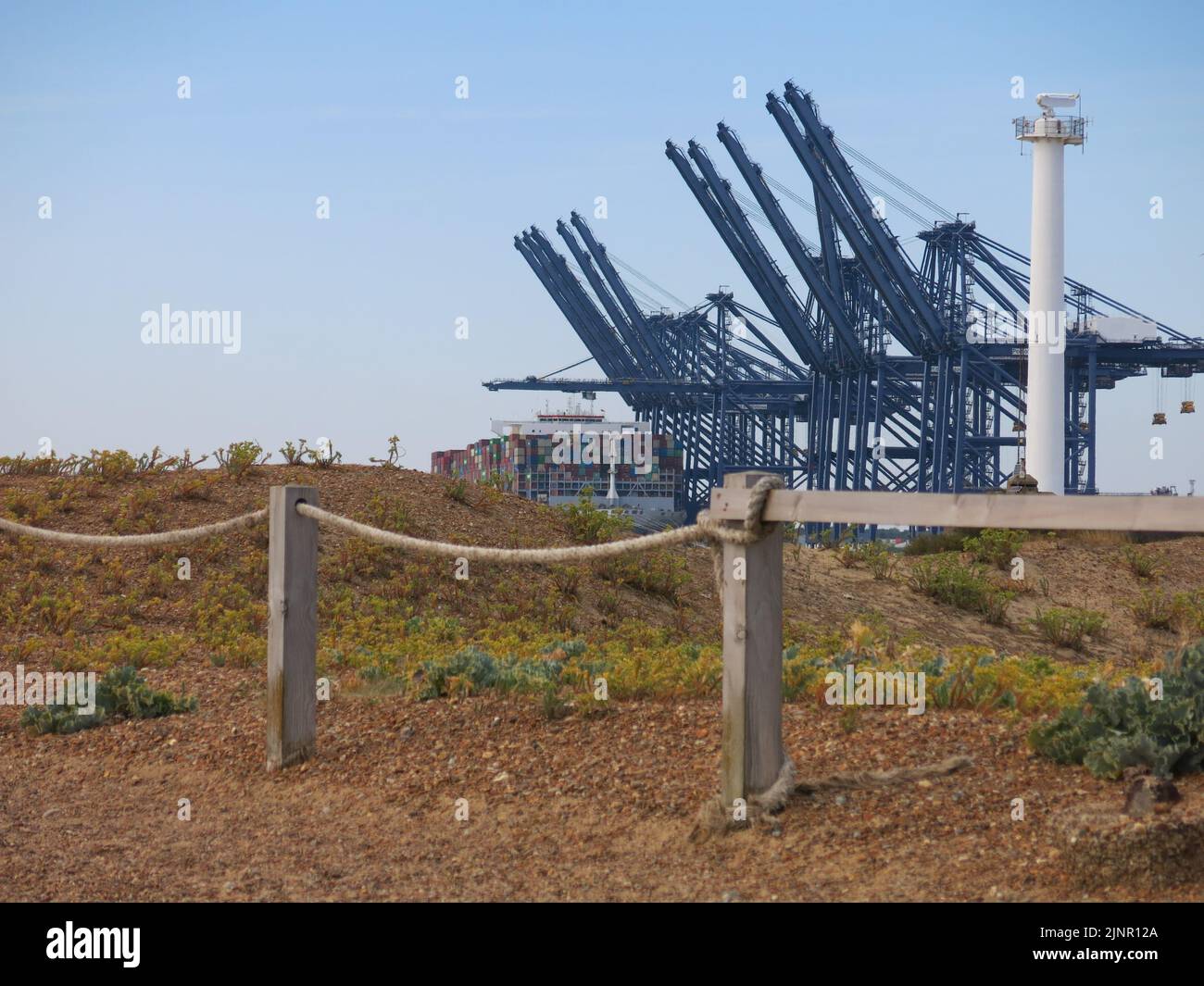 The nature reserve at Landguard Point covers 33 hectares of shingle ...