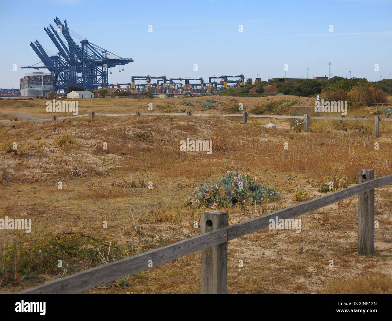 The nature reserve at Landguard Point covers 33 hectares of shingle ...
