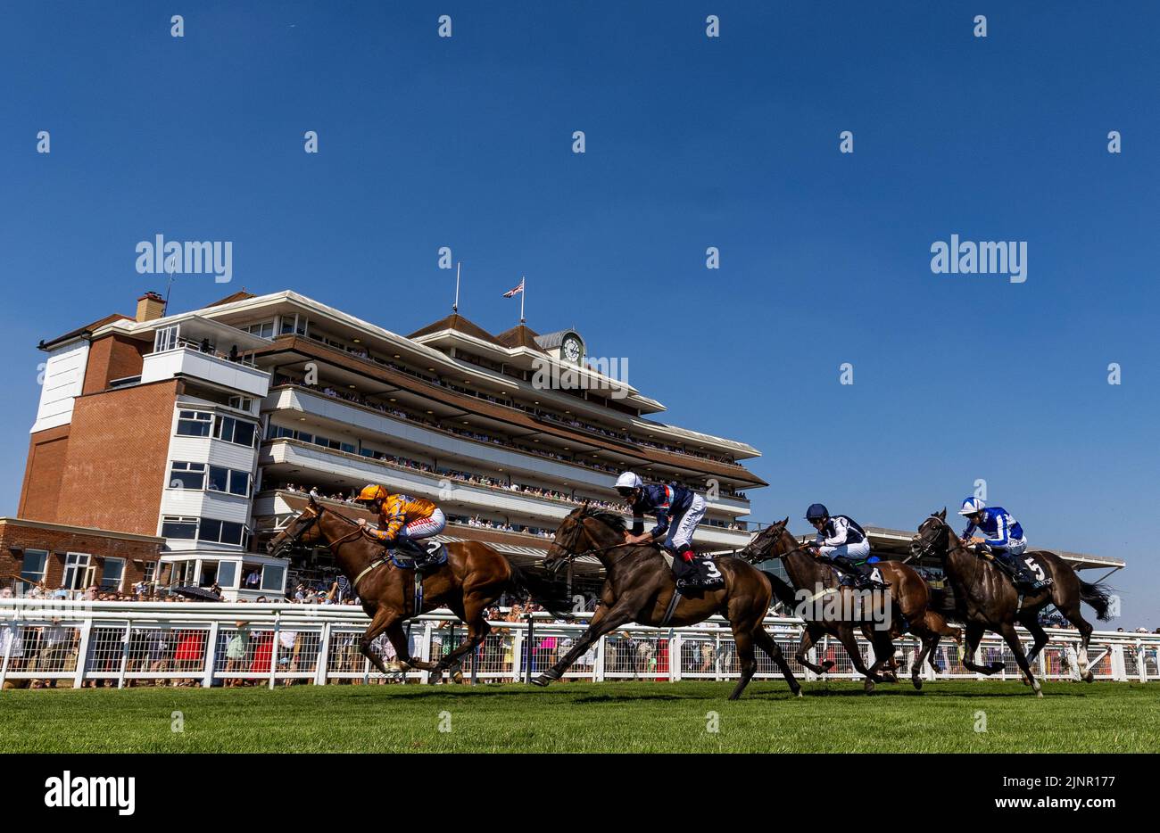 Documenting horse hi-res stock photography and images - Alamy