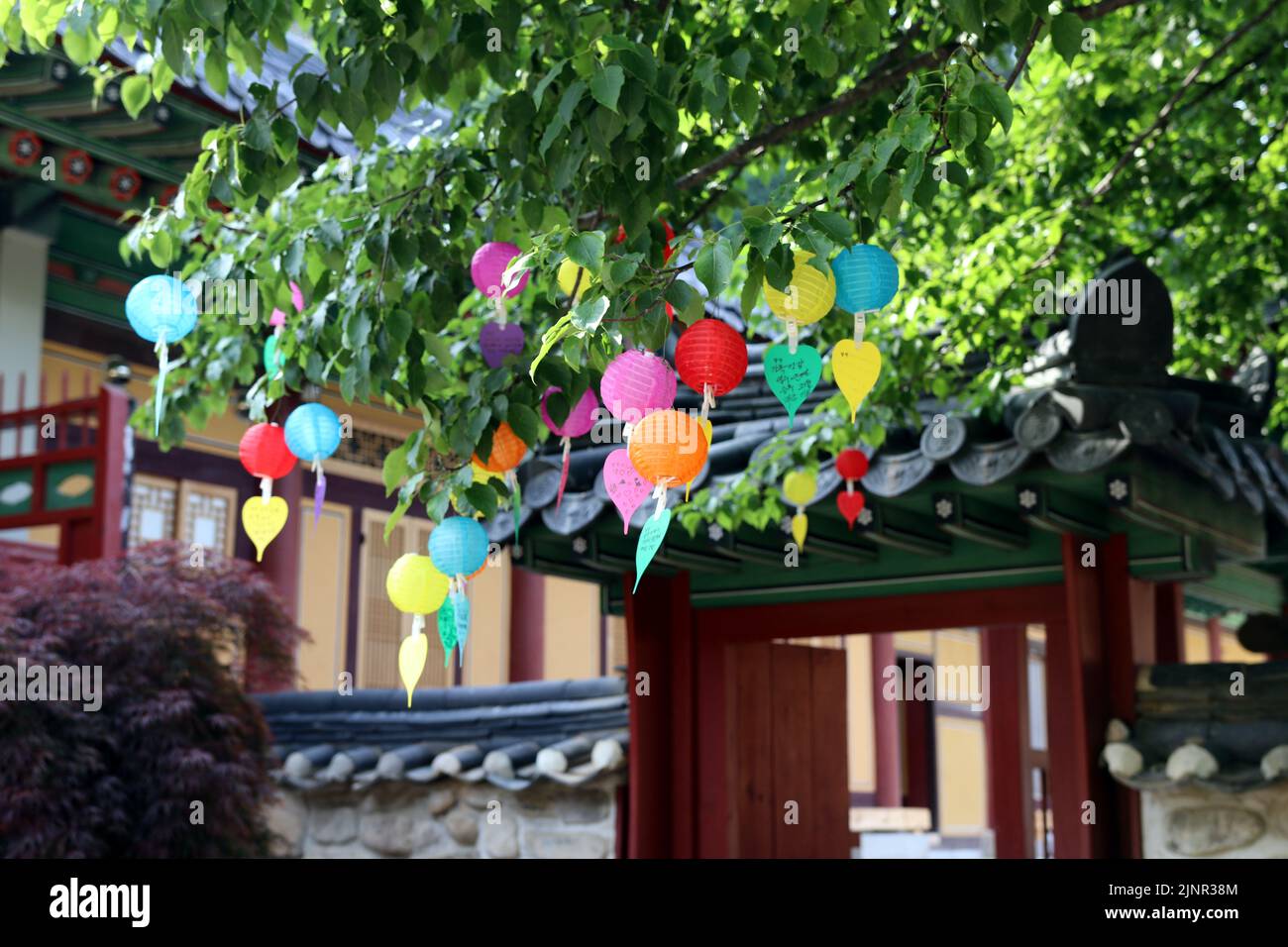 Woljeongsa in Gangwon-do, Korea Stock Photo - Alamy