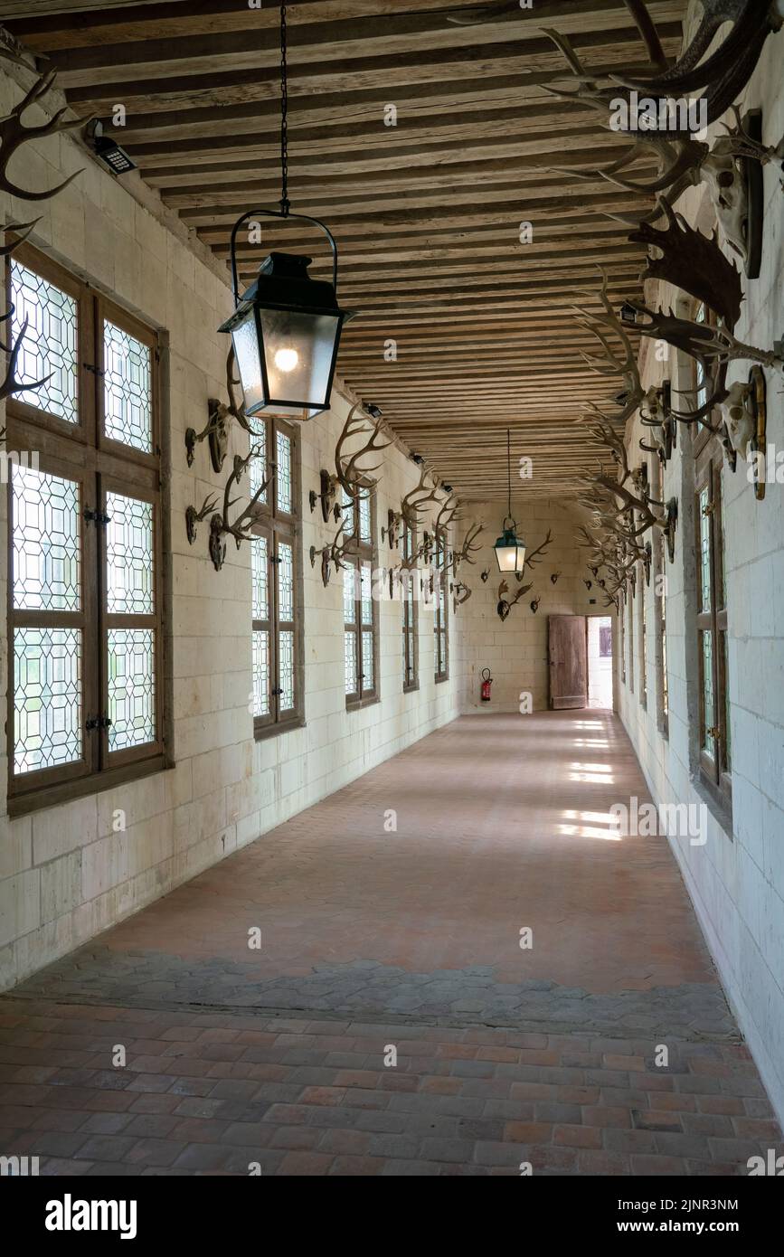 Chateau de Chombard, period French Renaissance architecture that blends ...