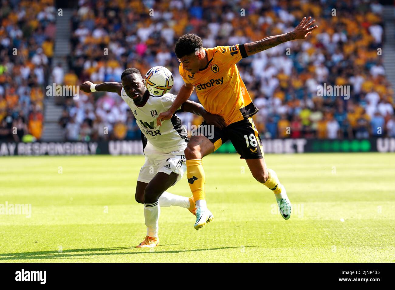 Morgan gibbs white wolves 2022 hi-res stock photography and images - Alamy