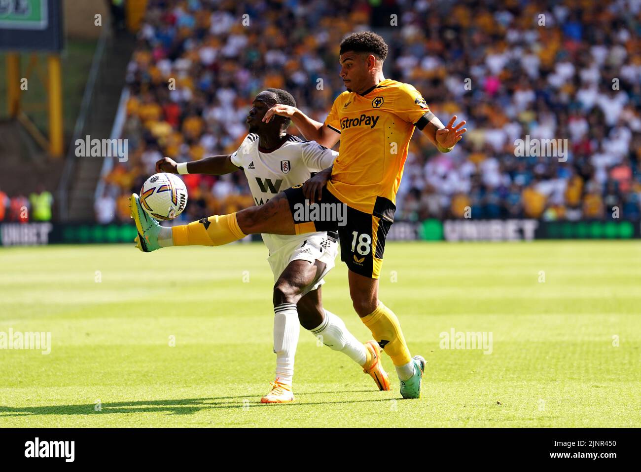 Morgan gibbs white wolves 2022 hi-res stock photography and images - Alamy