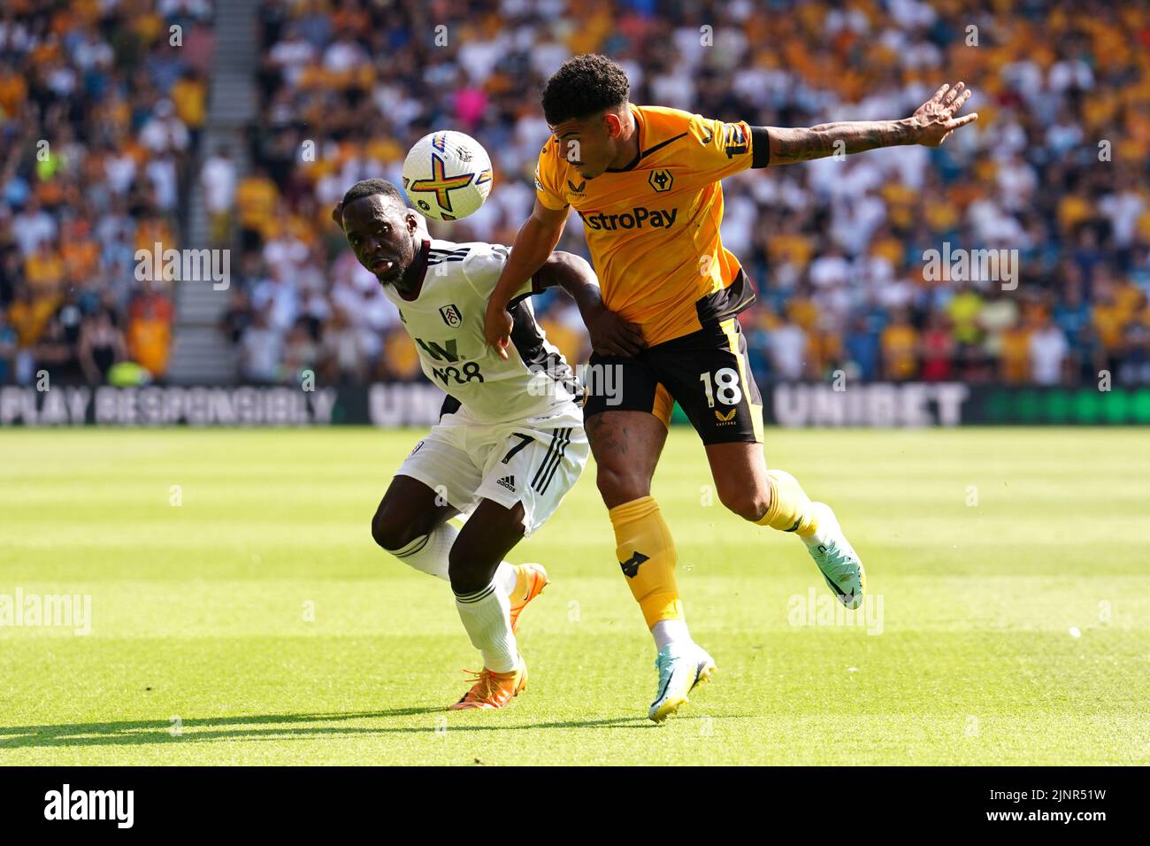 Gibbs white 2022 wolves hi-res stock photography and images - Alamy