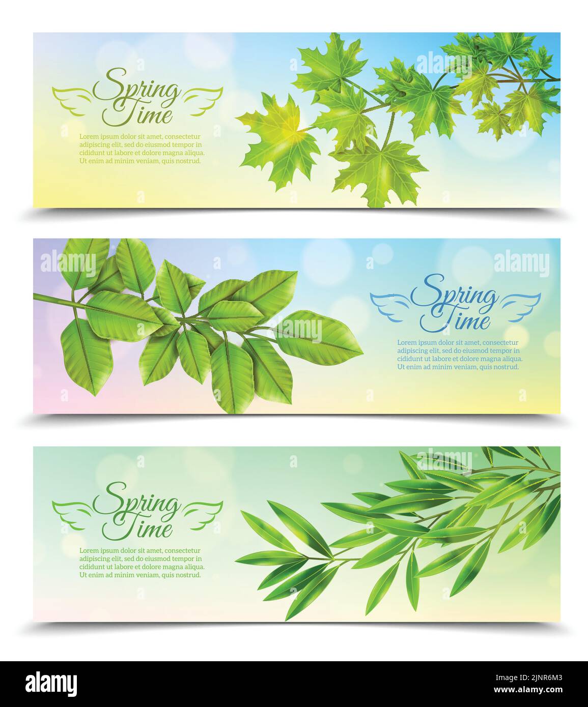 Three horizontal banners with green branches of deciduous trees in sun ...
