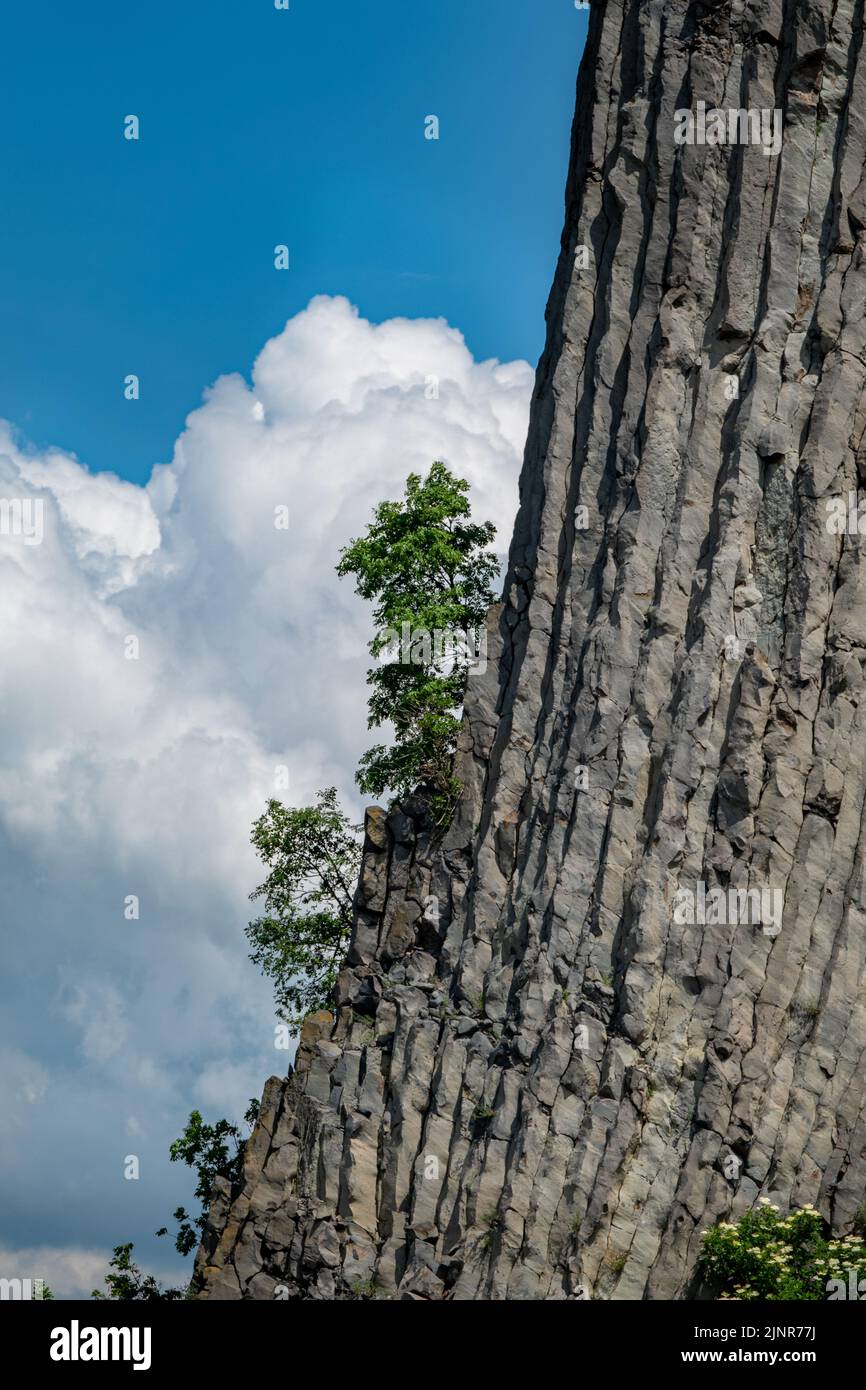 Hegyestu geological basalt cliff in Kali basin hungary near Koveskal ...