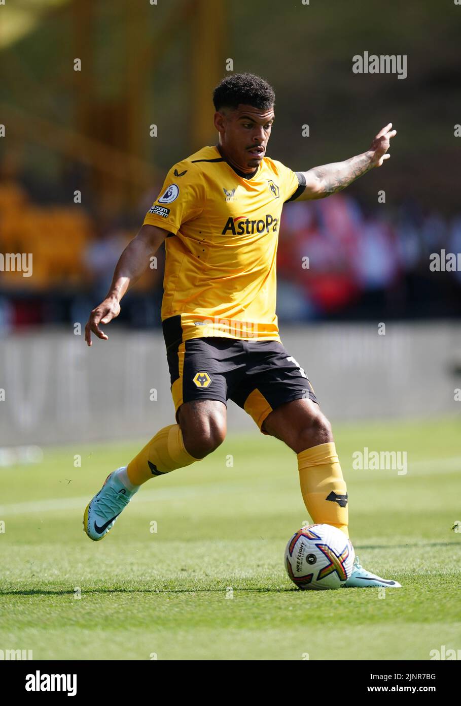 Morgan gibbs white wolves 2022 hi-res stock photography and images - Alamy