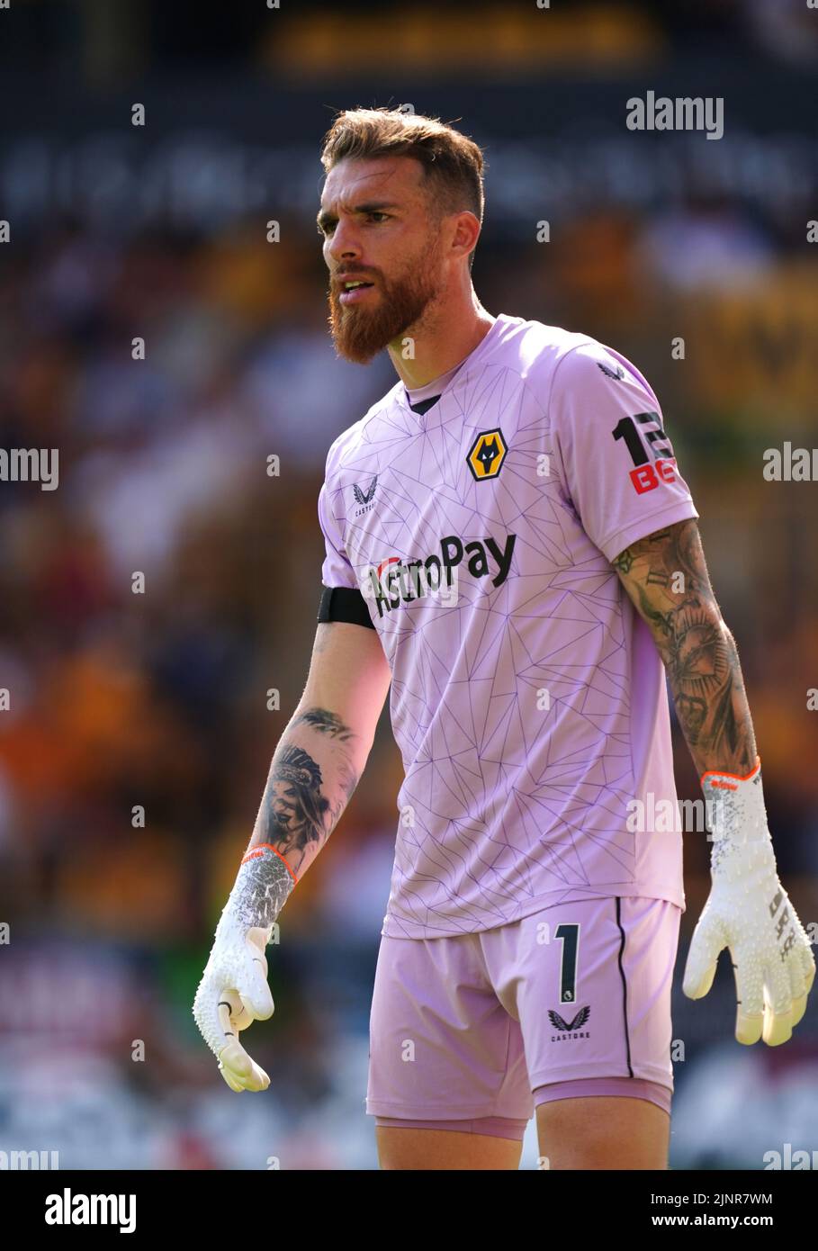 Jose sa wolves hi-res stock photography and images - Alamy