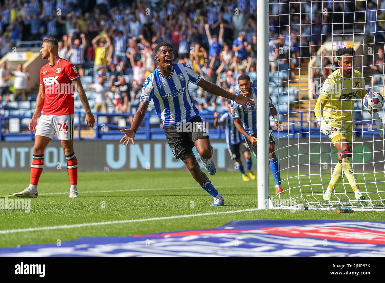 Tyreeq Bakinson #19 of Sheffield Wednesday celebrates his goal to make ...