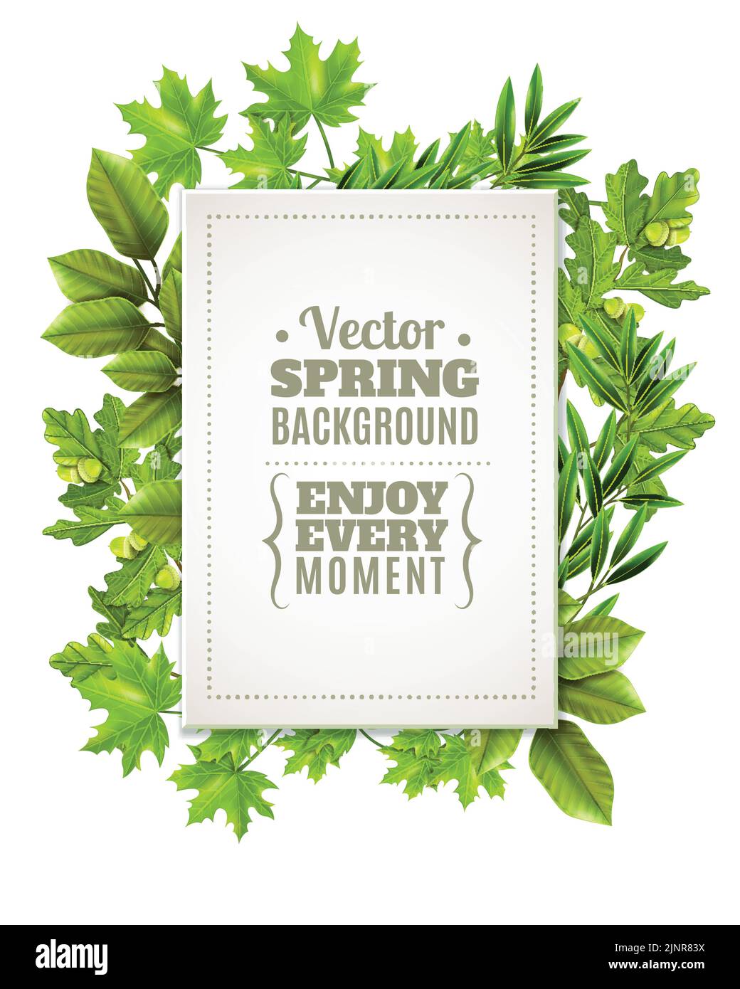 Decorative green frame with spring leaves and branches of deciduous ...