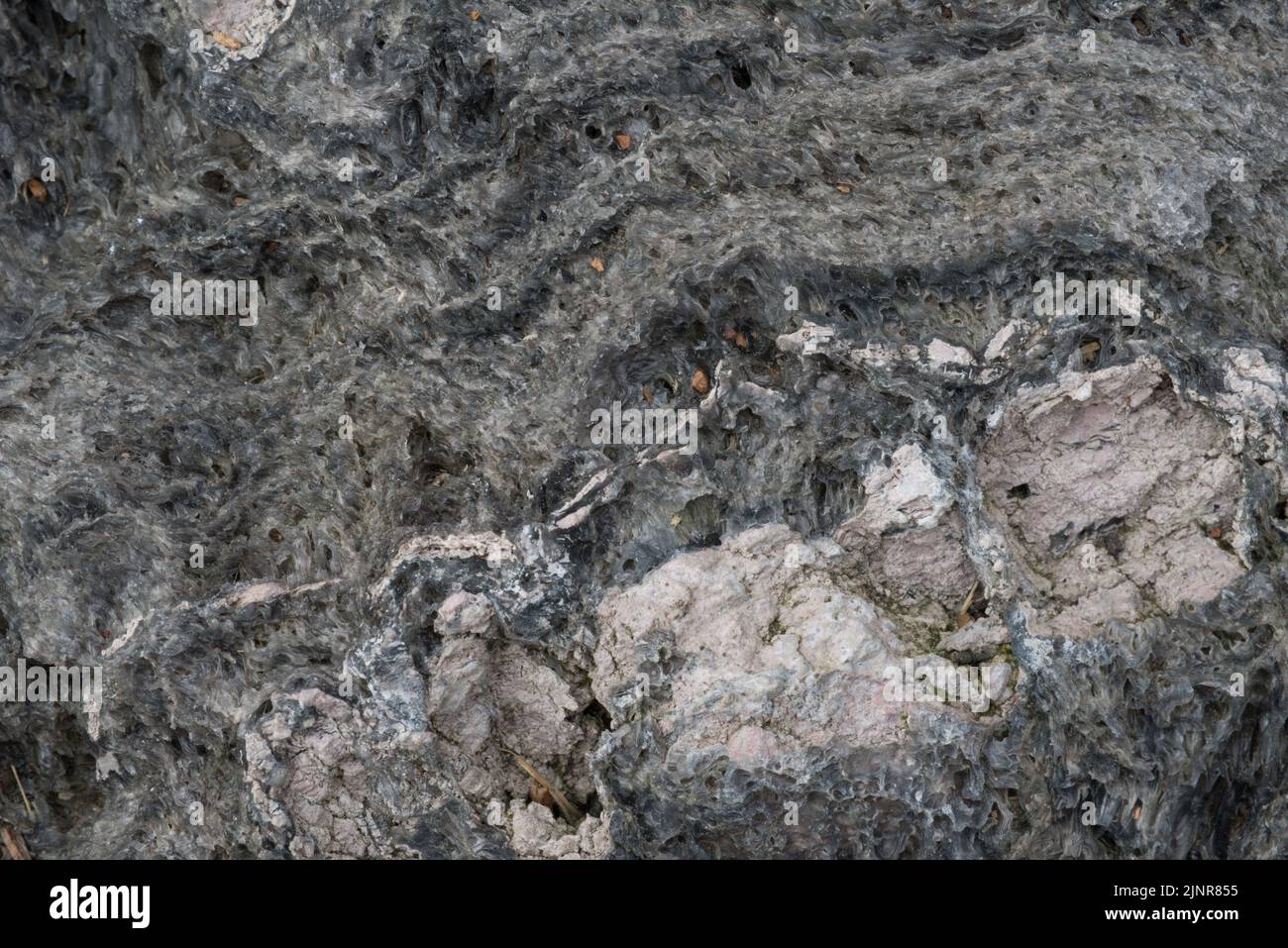 A close-up photograph of a grey lava rock used in decorative ...