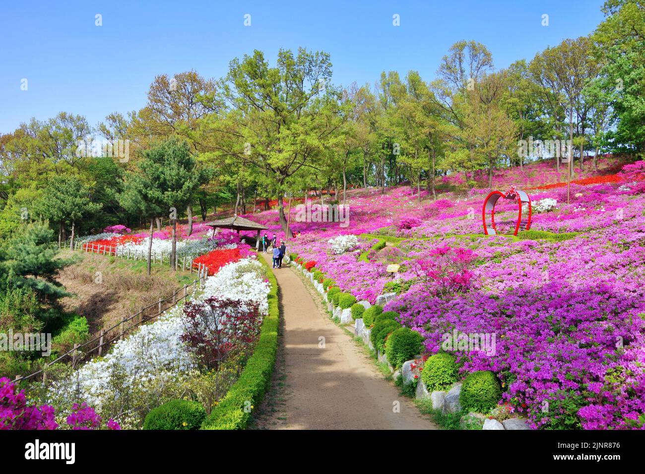 Azalea trail hi-res stock photography and images - Alamy