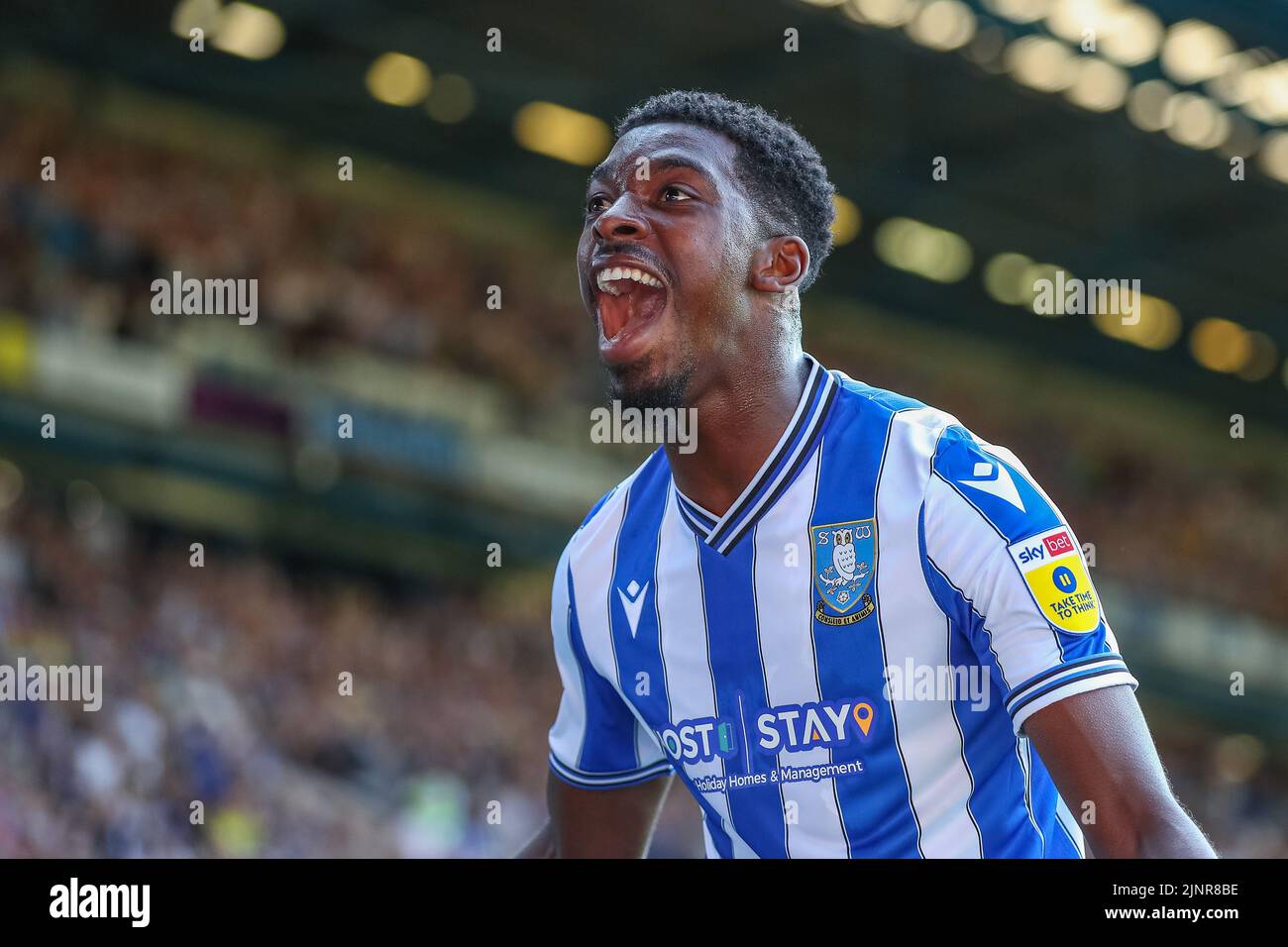 Tyreeq Bakinson #19 of Sheffield Wednesday celebrates his goal to make ...