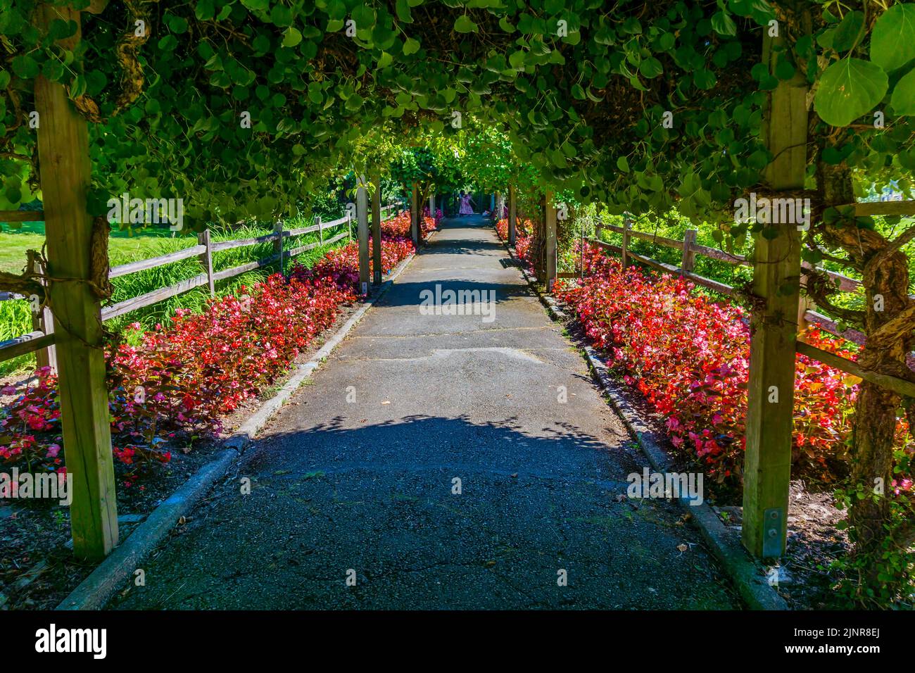 Center garden walkway at Point Defiance Park in Tacoma, Washington ...