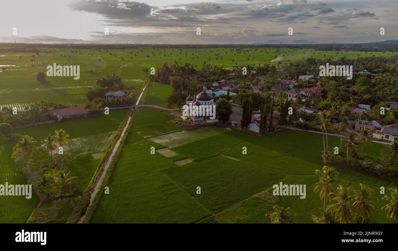 Aerial view of rice fields, Aceh, Indonesia Stock Photo - Alamy
