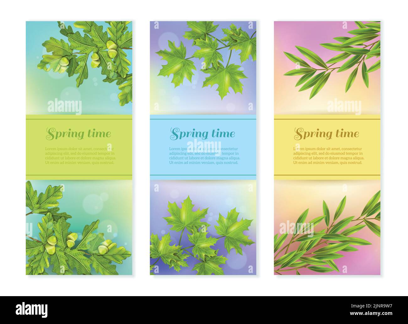 Bright colorful spring collection of vertical banners with olive oak ...