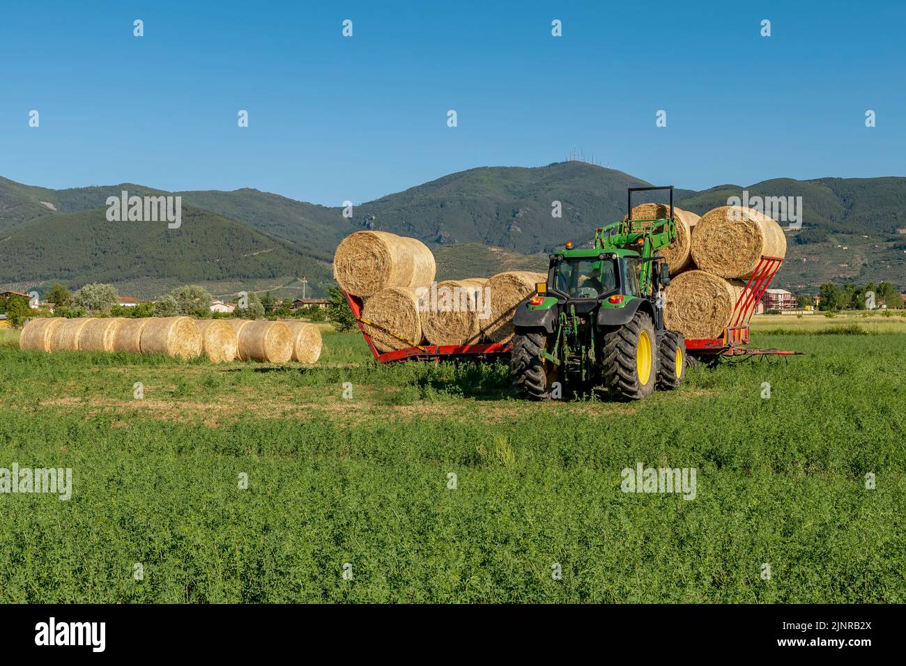 A tractor lifts hay bales to align them on a trailer in the countryside ...