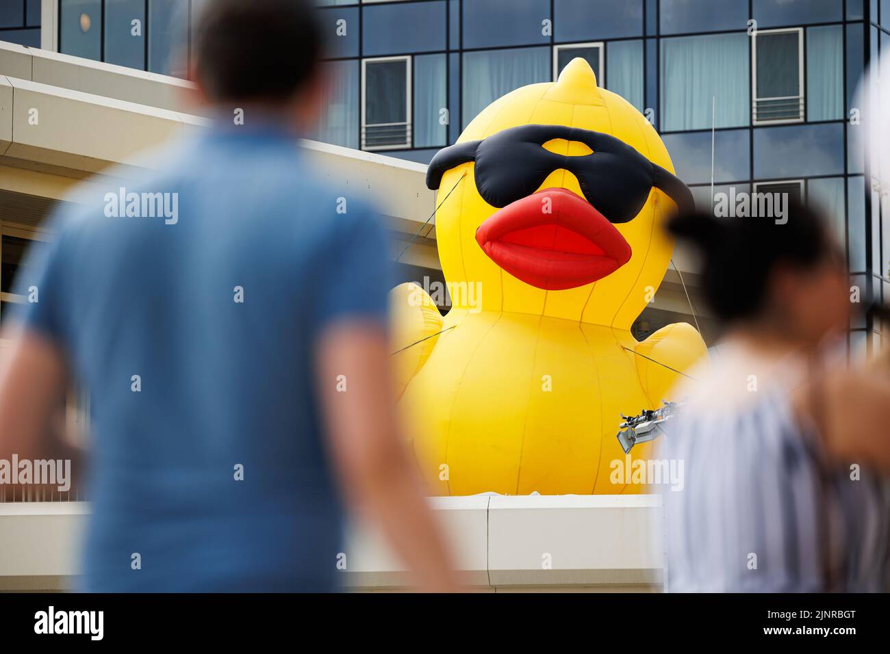 Hanover, Germany. 13th Aug, 2022. A large, inflated rubber duck stands ...