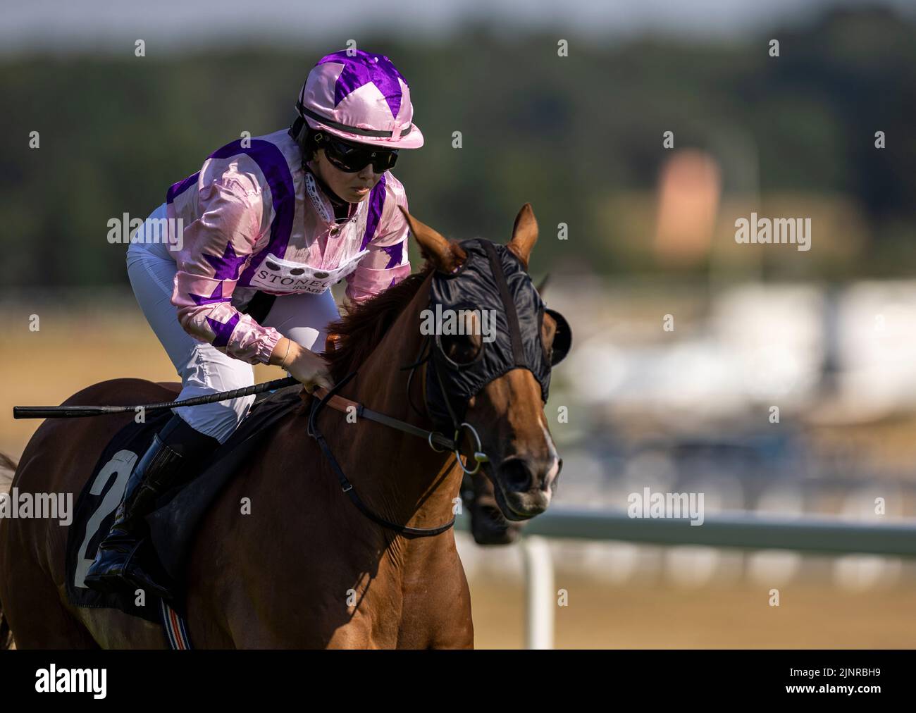 Saratoga racecourse 2022 hi-res stock photography and images - Alamy