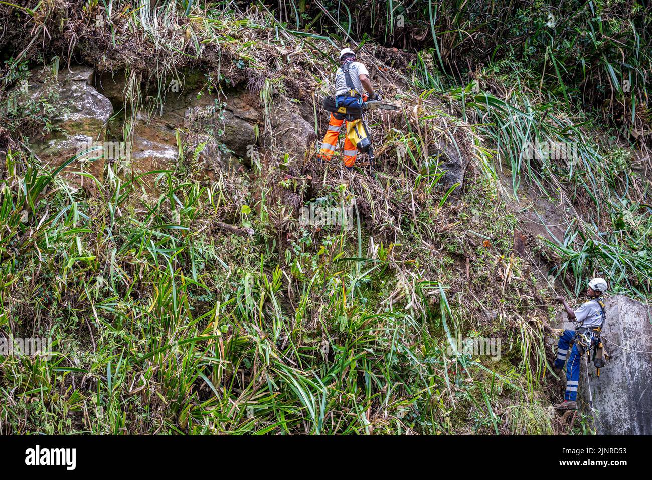 Green workers at Cirque de Takamaka view, Réunion Island, France Stock ...