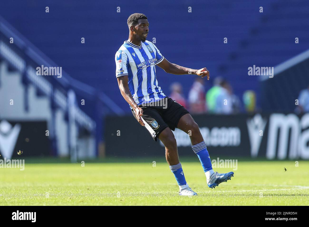 Tyreeq Bakinson #19 of Sheffield Wednesday during the game Stock Photo ...