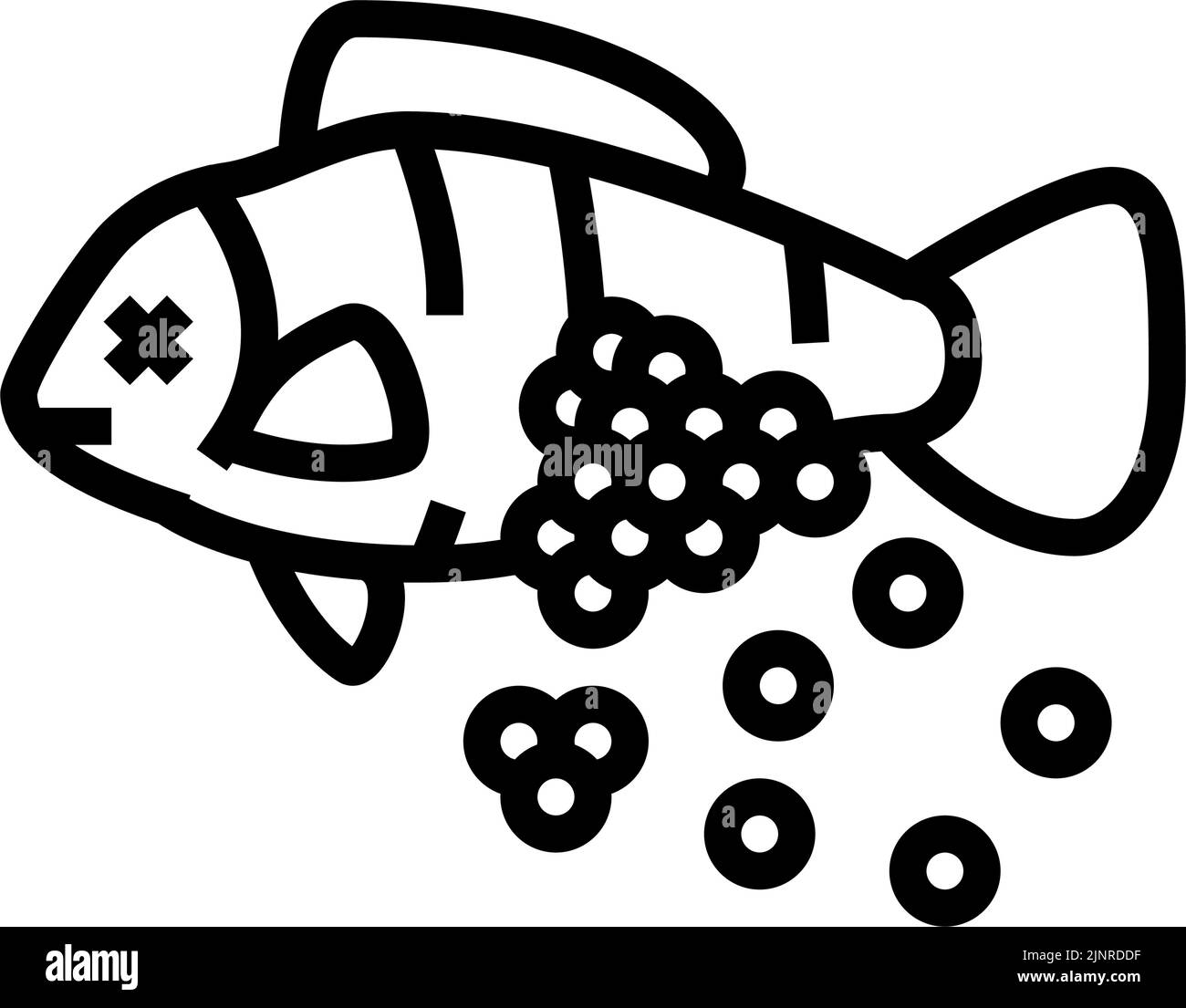 Fish in net line Black and White Stock Photos & Images - Alamy