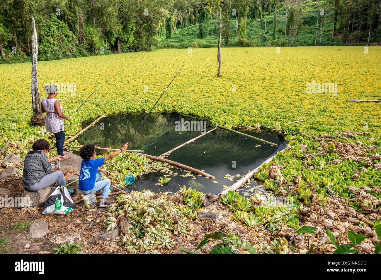 Local people trying to fish in Water Hen Pond (mare a poule d'eau ...