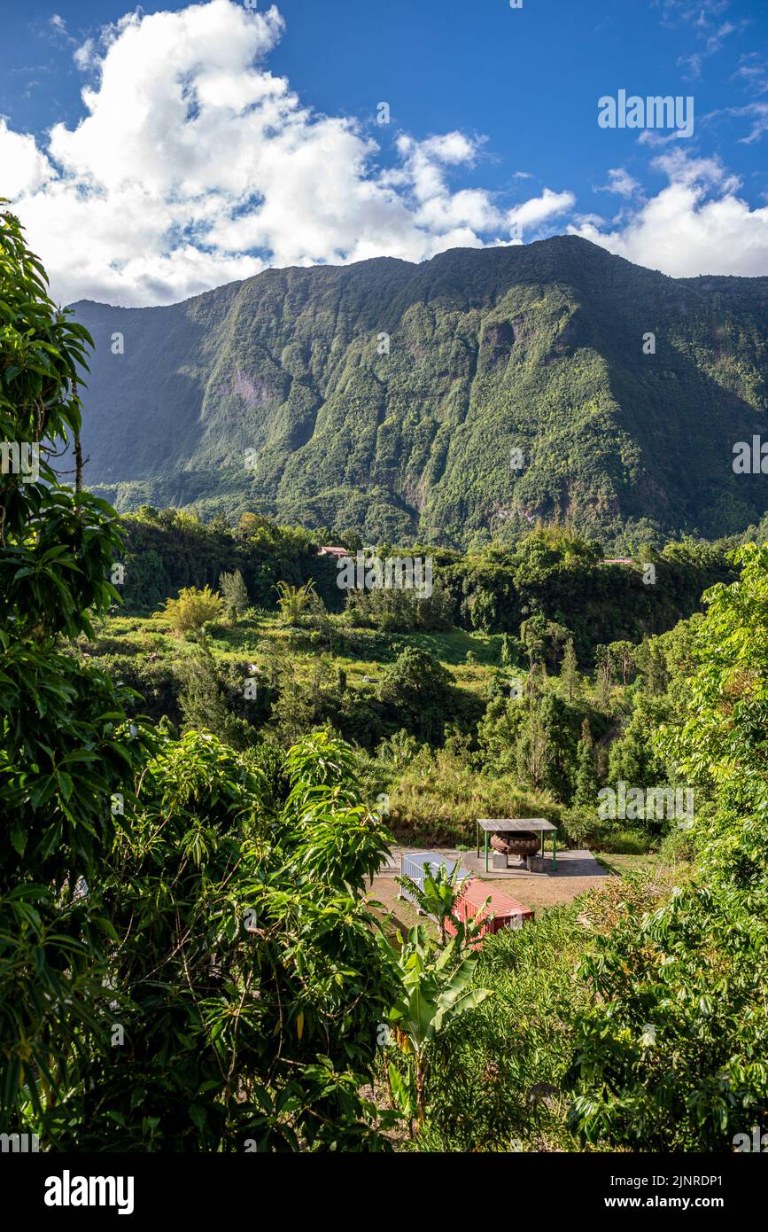 Green mountainous landscape, Réunion island, France Stock Photo - Alamy