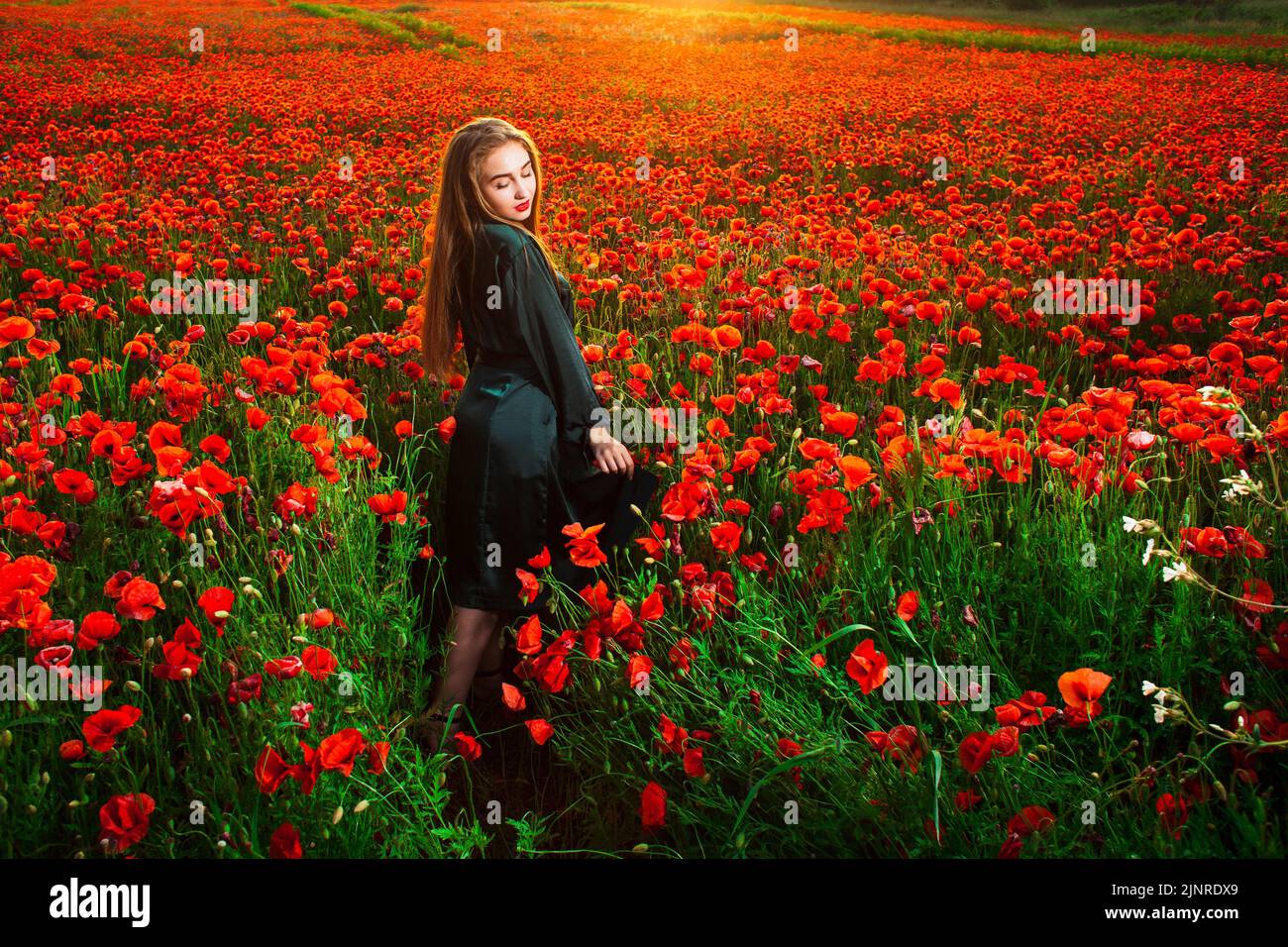 Romantic Girl in poppy field. Woman on flowering poppy field. Summer ...