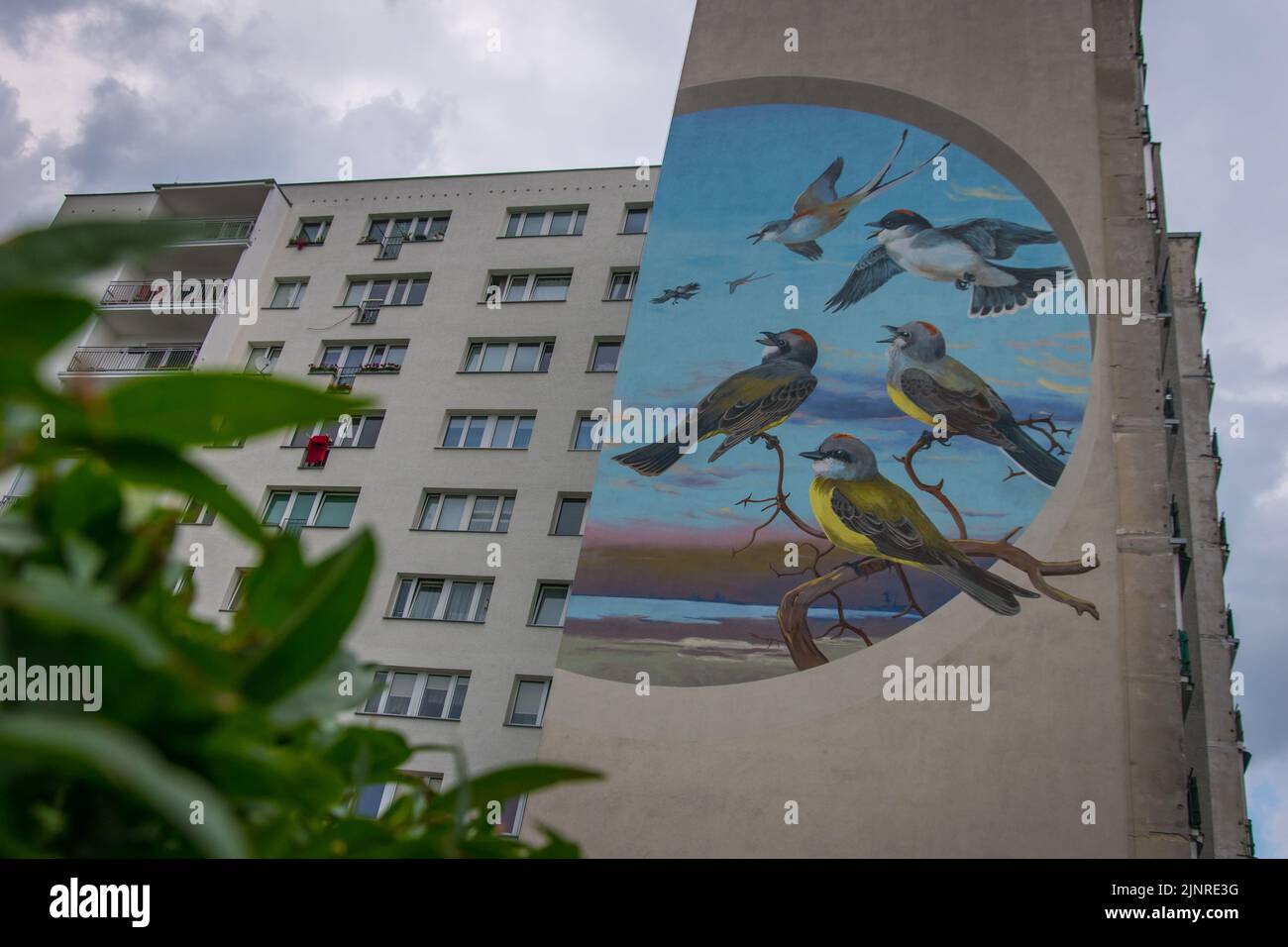 Murals in Warsaw, Poland Stock Photo - Alamy