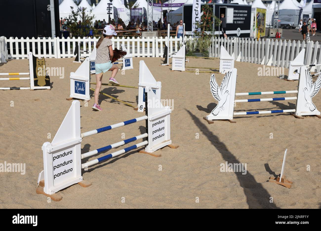 Herning, Denmark. 13th Aug, 2022. Equestrian sports, world championship ...