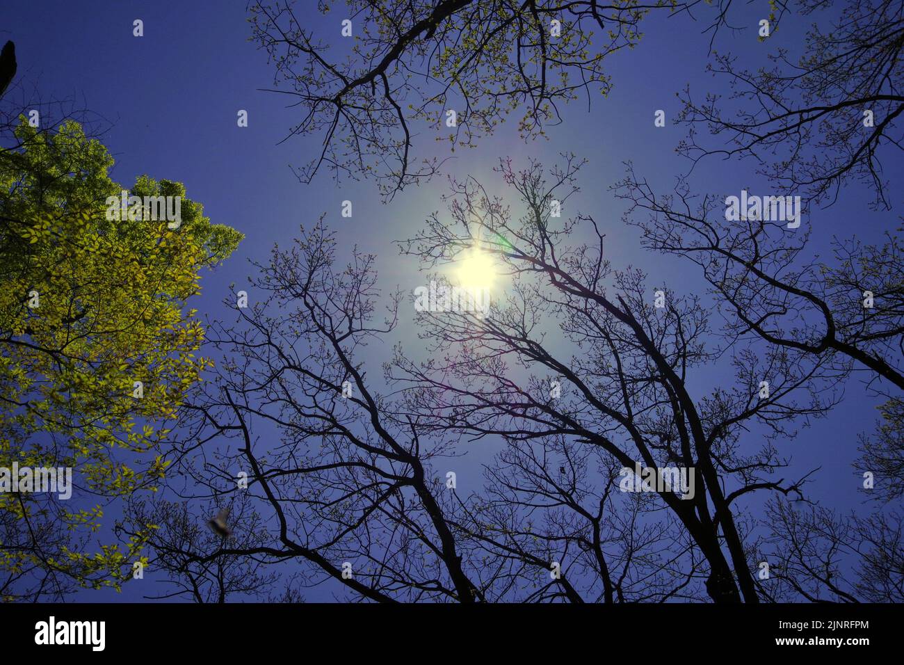 weather sunny day sun Stock Photo - Alamy