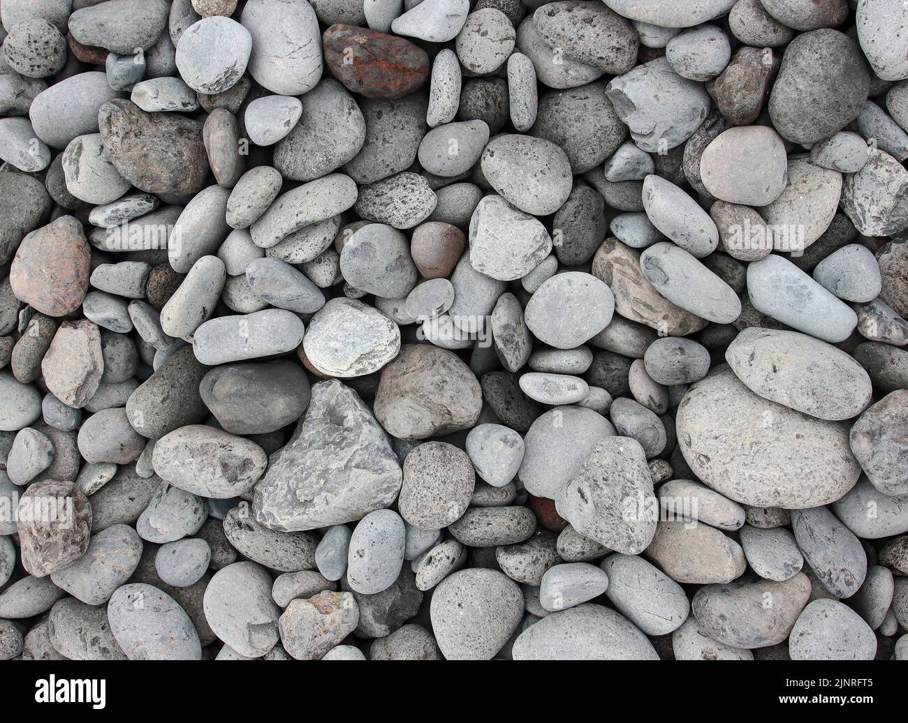 Large number of oval stones of different shades of gray and sizes on ...