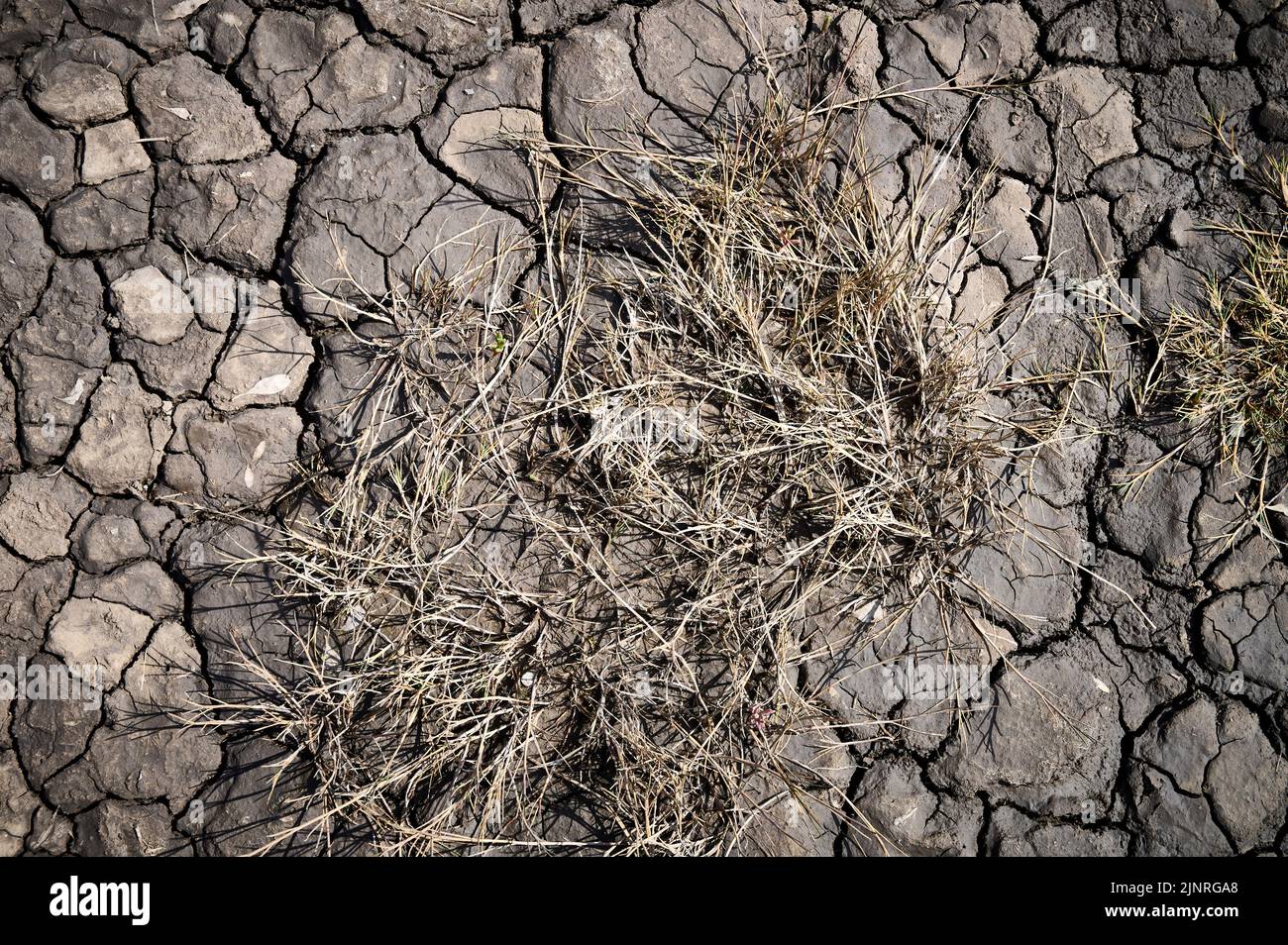 Dried up water channel on river estuary Stock Photo - Alamy