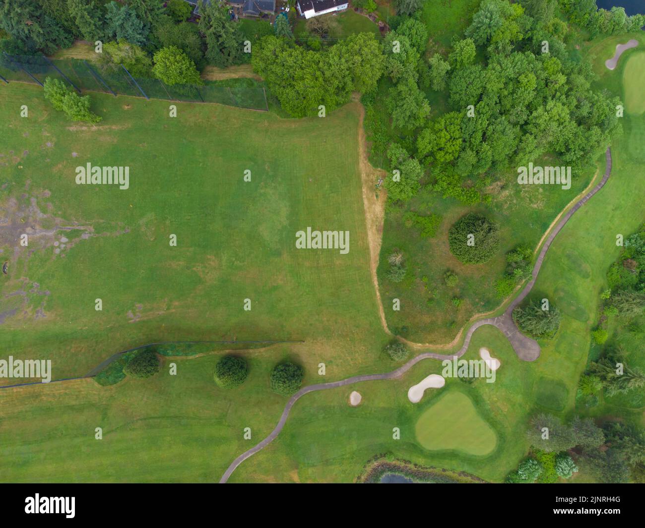 Shooting from the air. Large green meadow, trees, bushes, paths. Rural ...