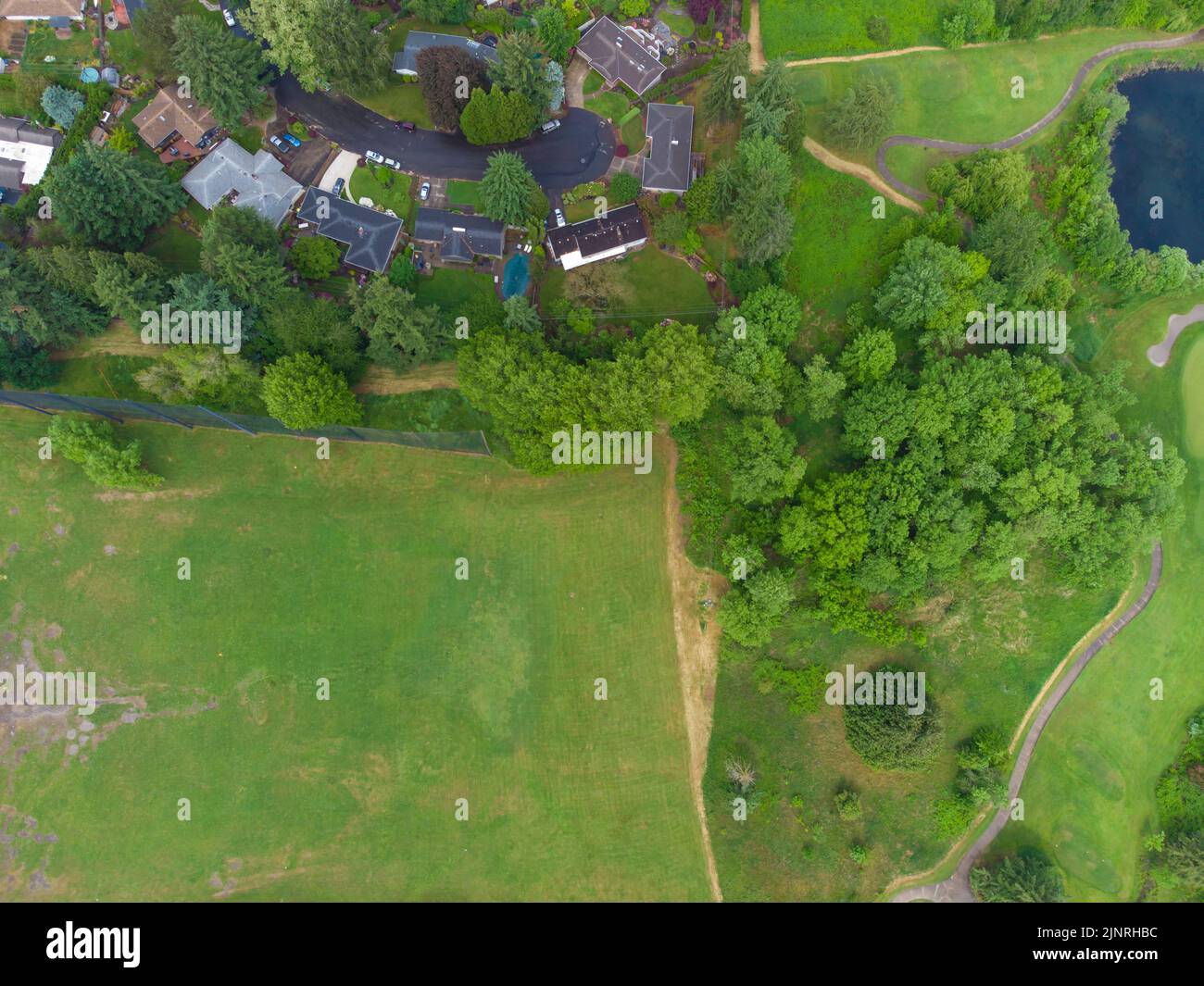 Top view of a large green meadow, trees, a small lake, roofs of small ...