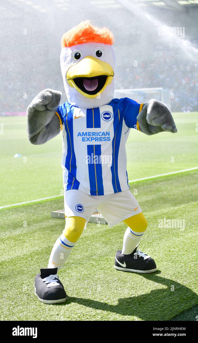 Gully mascot hi-res stock photography and images - Alamy