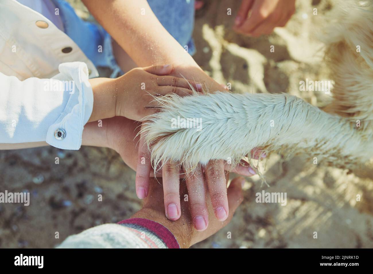 Family team spirit hi-res stock photography and images - Alamy