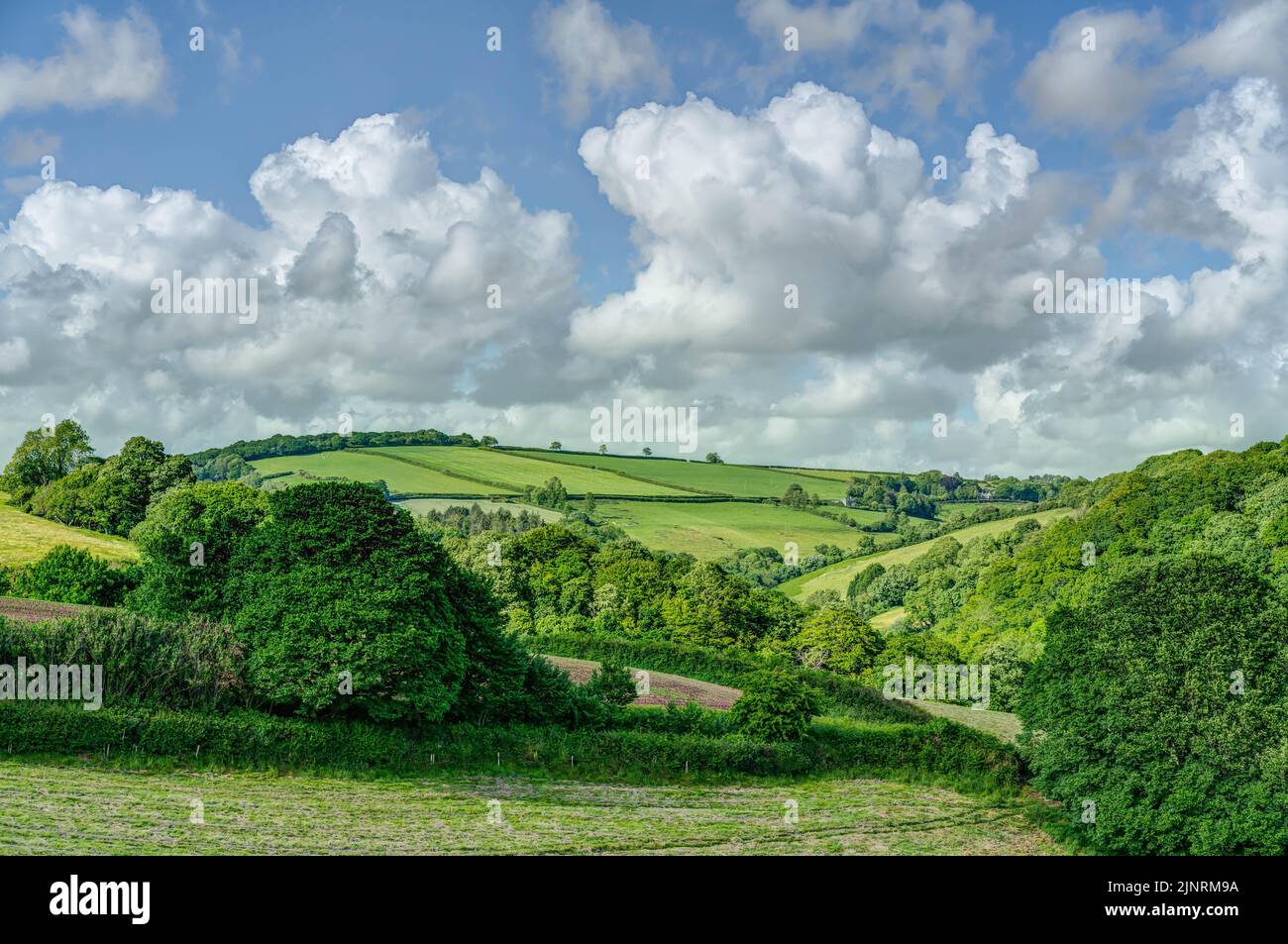 The Cornish countryside in all it's splendid spring colour, taken over ...