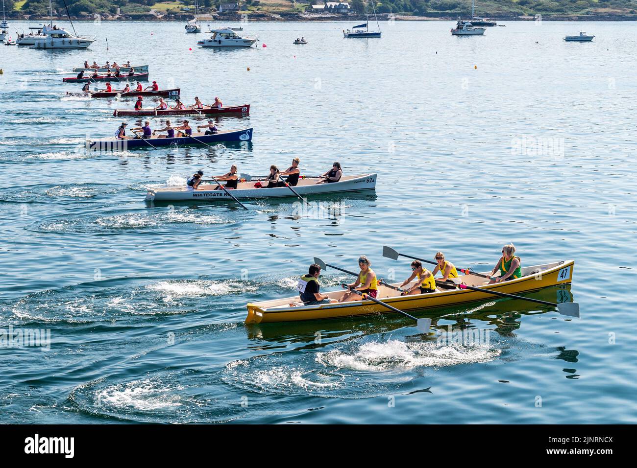 Schull, West Cork, Ireland. 13th Aug, 2022. The 2022 Irish Coastal ...